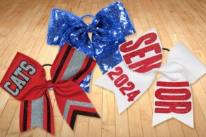 Superior Cheer & Dance — Pearison Inc.